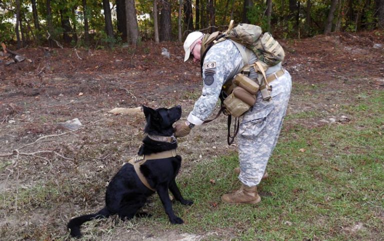 SCSG Professional Services – The South Carolina State Guard